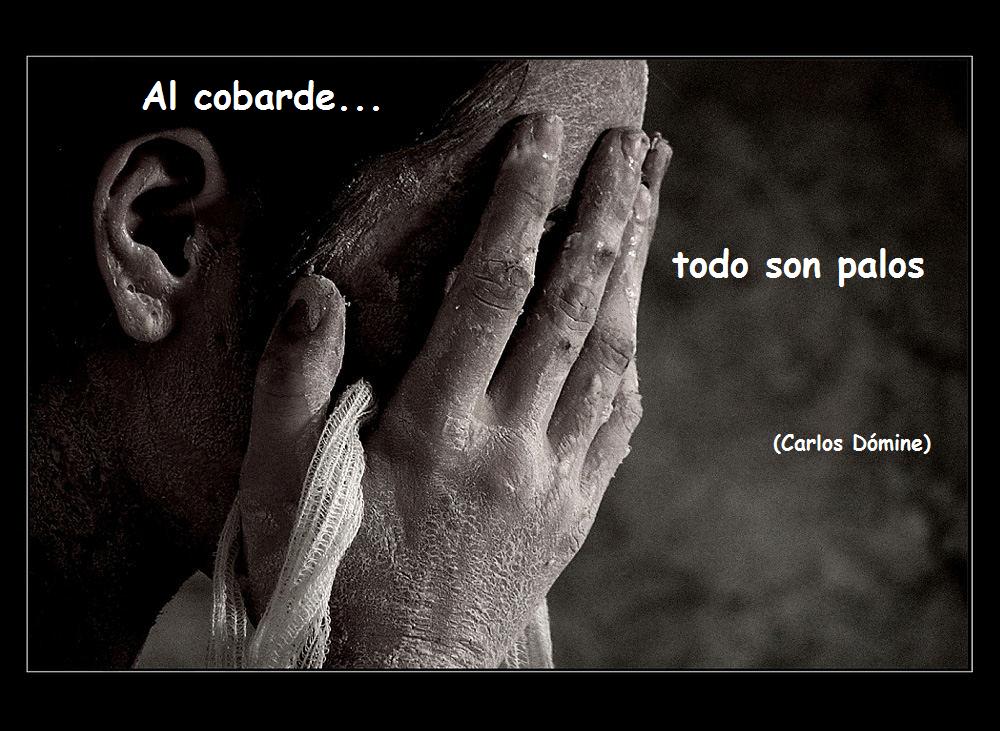 FRASES PARA PENSAR Y REFLEXIONAR, por Carlos Dómine (Frases para ...