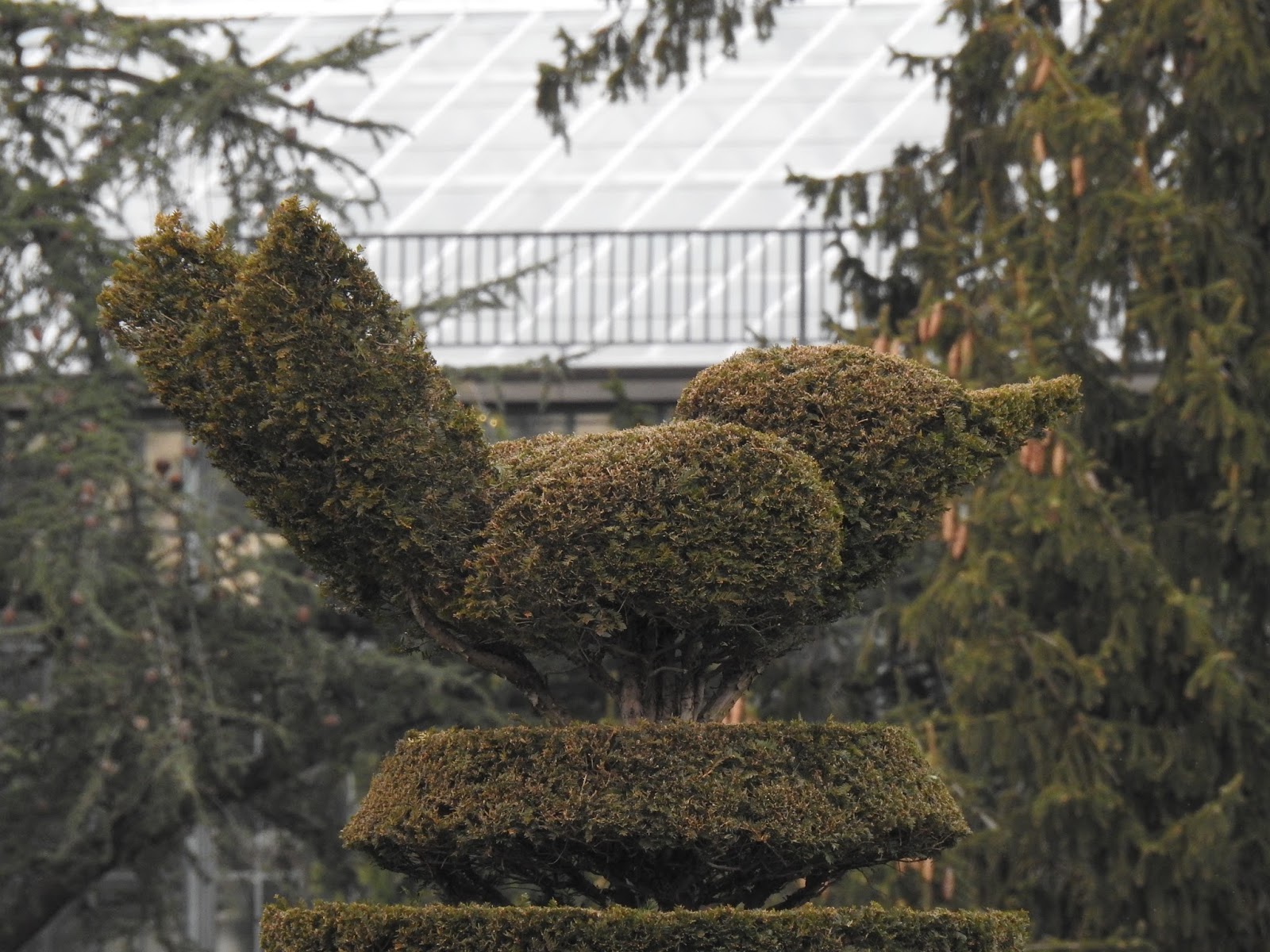 Merry@Syracuse: PA: Longwood Gardens Topiary Bird