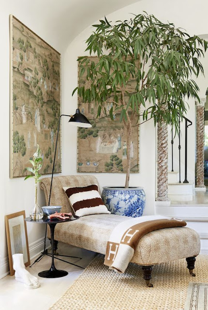 Eye For Design: Decorating Your Interiors With Large Plants
