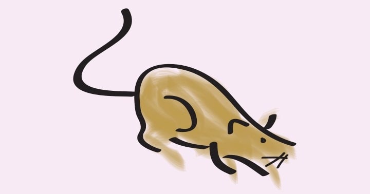 Zodia Sobolan | Horoscop