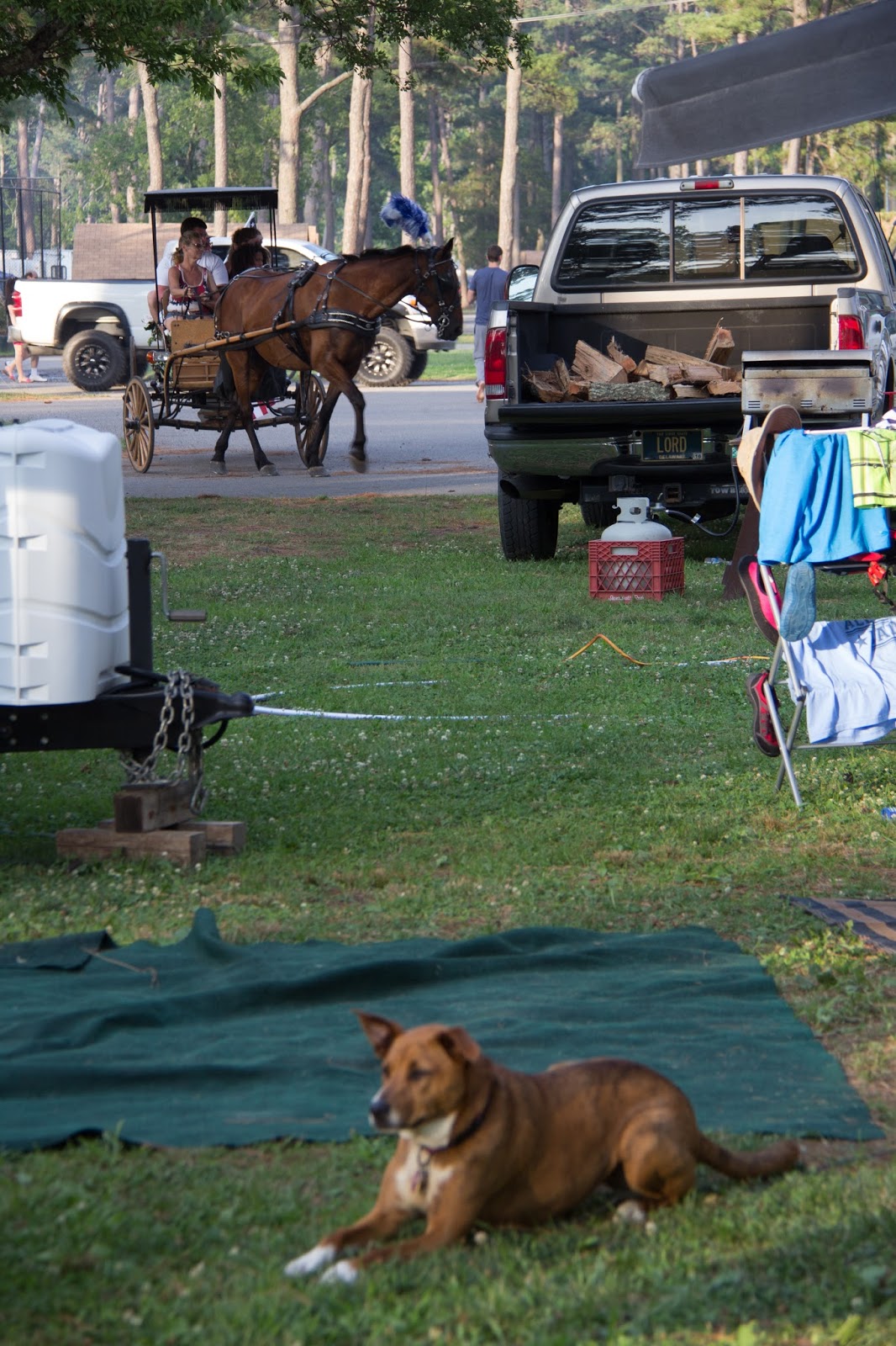 Match the Pictures: Cherrystone Family Campground