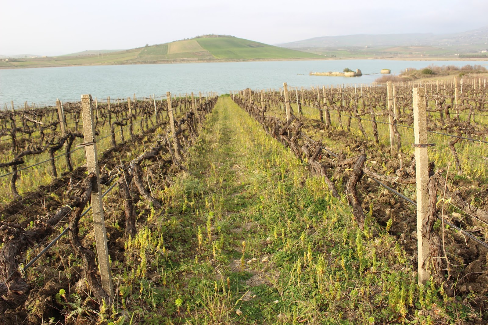 Reportage On Way: Lago Arancio, Sambuca di Sicilia (Ag)