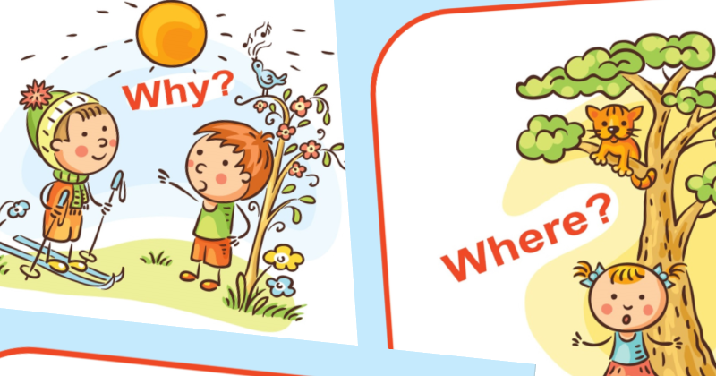 Free Printable WH Question Word Posters | And Next Comes L - Hyperlexia ...