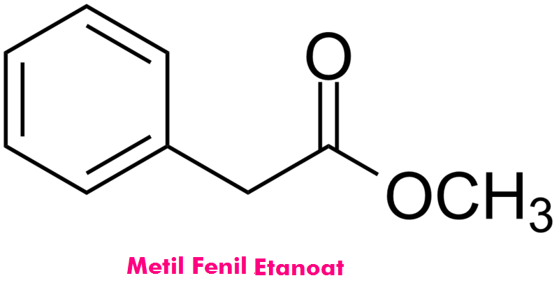 KIMIA ORGANIK: TUGAS 4 : Ester