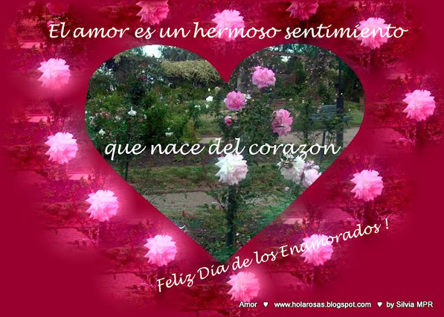 Imagenes De Amor: Mensajes para el dia de los enamorados con tarjetas ...