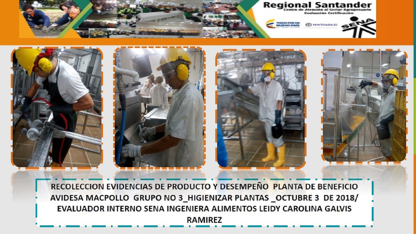 C18: Proceso AVIDESA MACPOLLO PN 4327 Avicola 2018