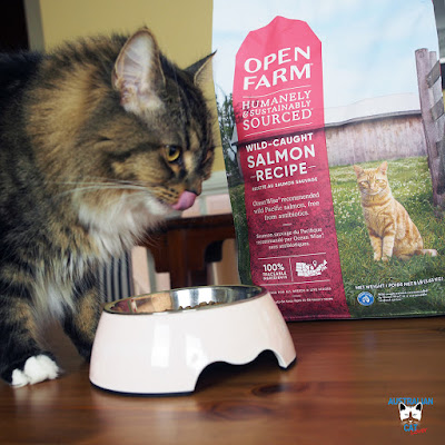 Open Farm Wild-Caught Salmon Cat Food Review | Australian Cat Lover