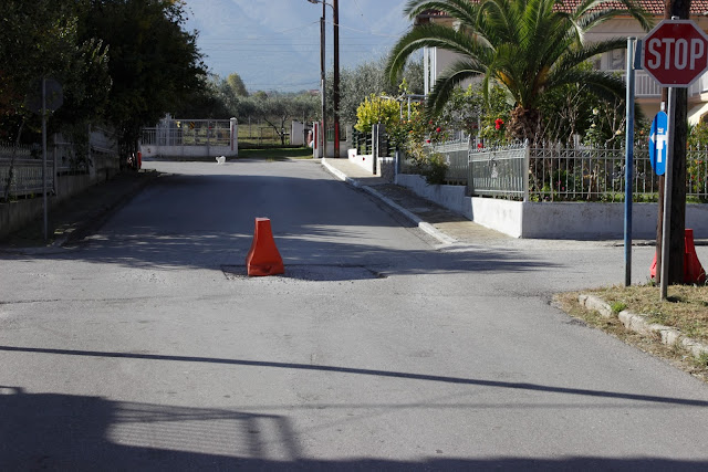 αλεπού του Ολύμπου: Λεπτοκαρυά...Η Άλλη Όψη, η άσχημη...