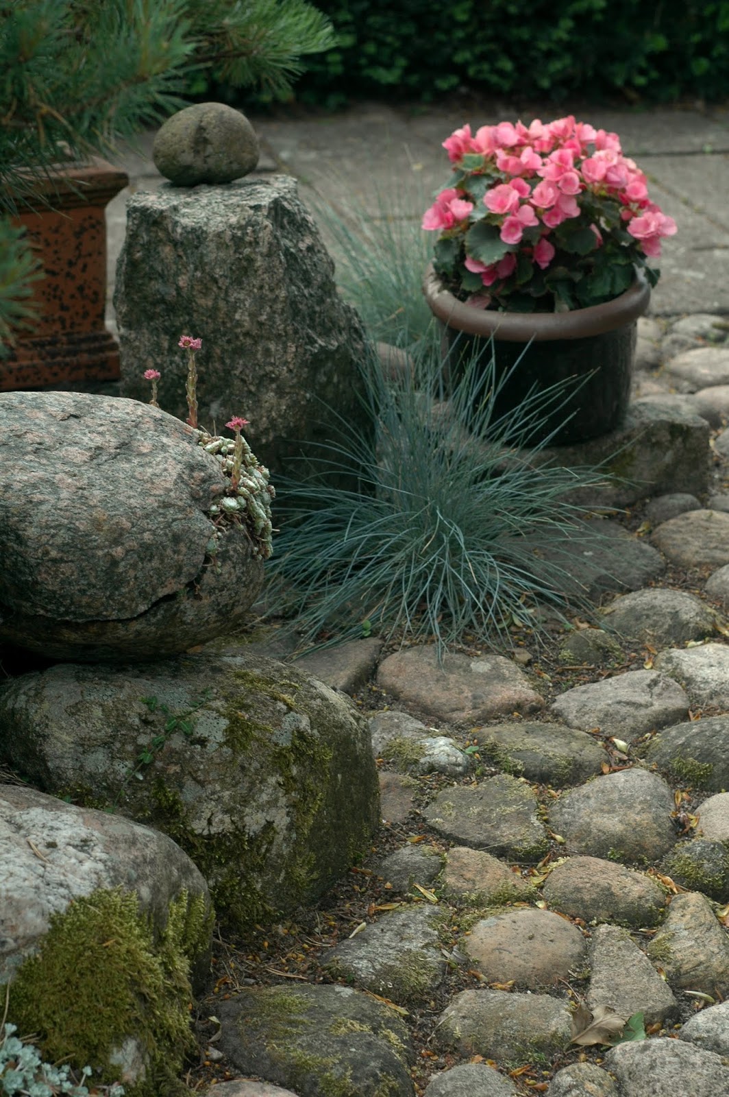 HAVETID: Havens sten og planter.