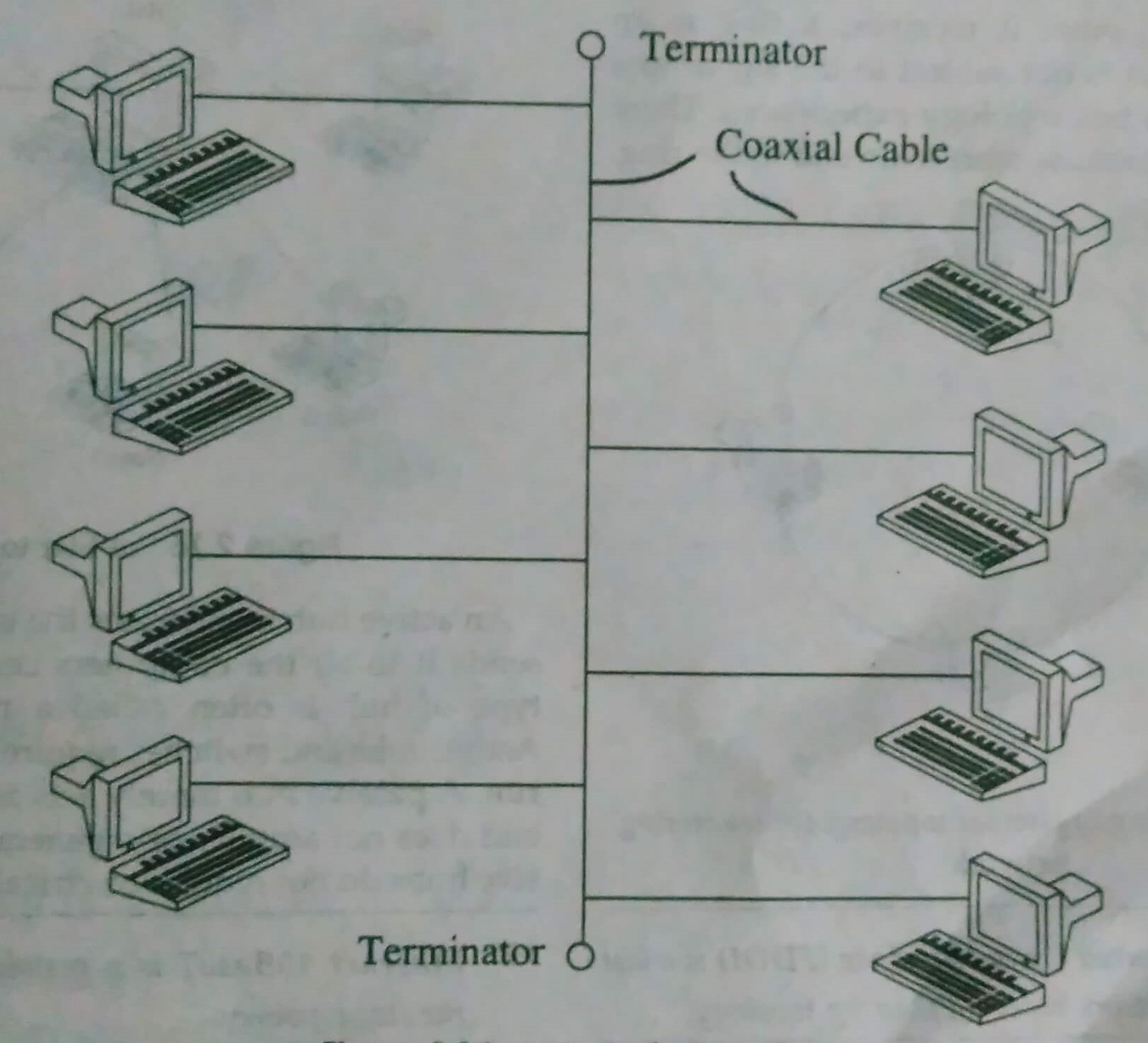 Local Area Networks (LAN) - Topologies - TheCScience