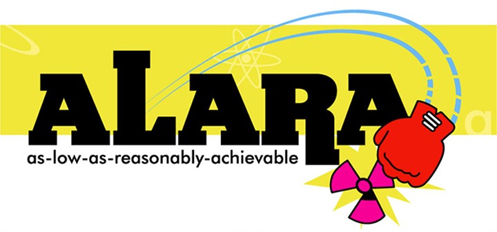 NIFS: ALARA in Controlling Radiation Risks in the Industries