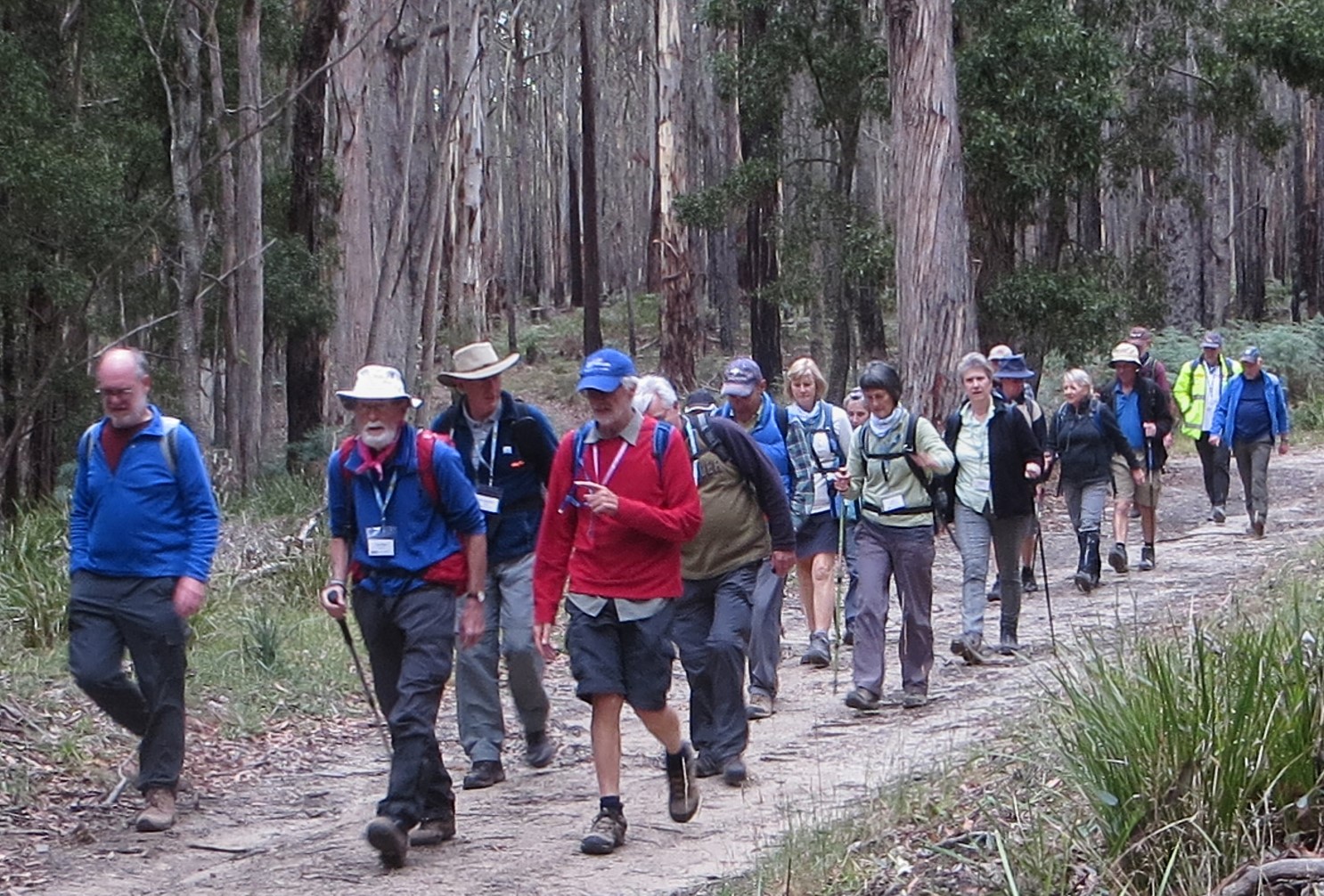 Wallaby Track Stage Three 2020