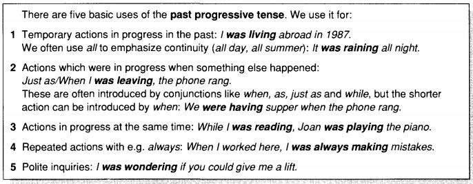 Penjelasan dan Contoh Past Continuous Tense