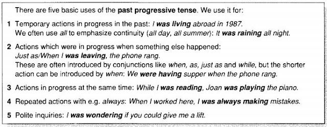 Penjelasan dan Contoh Past Continuous Tense