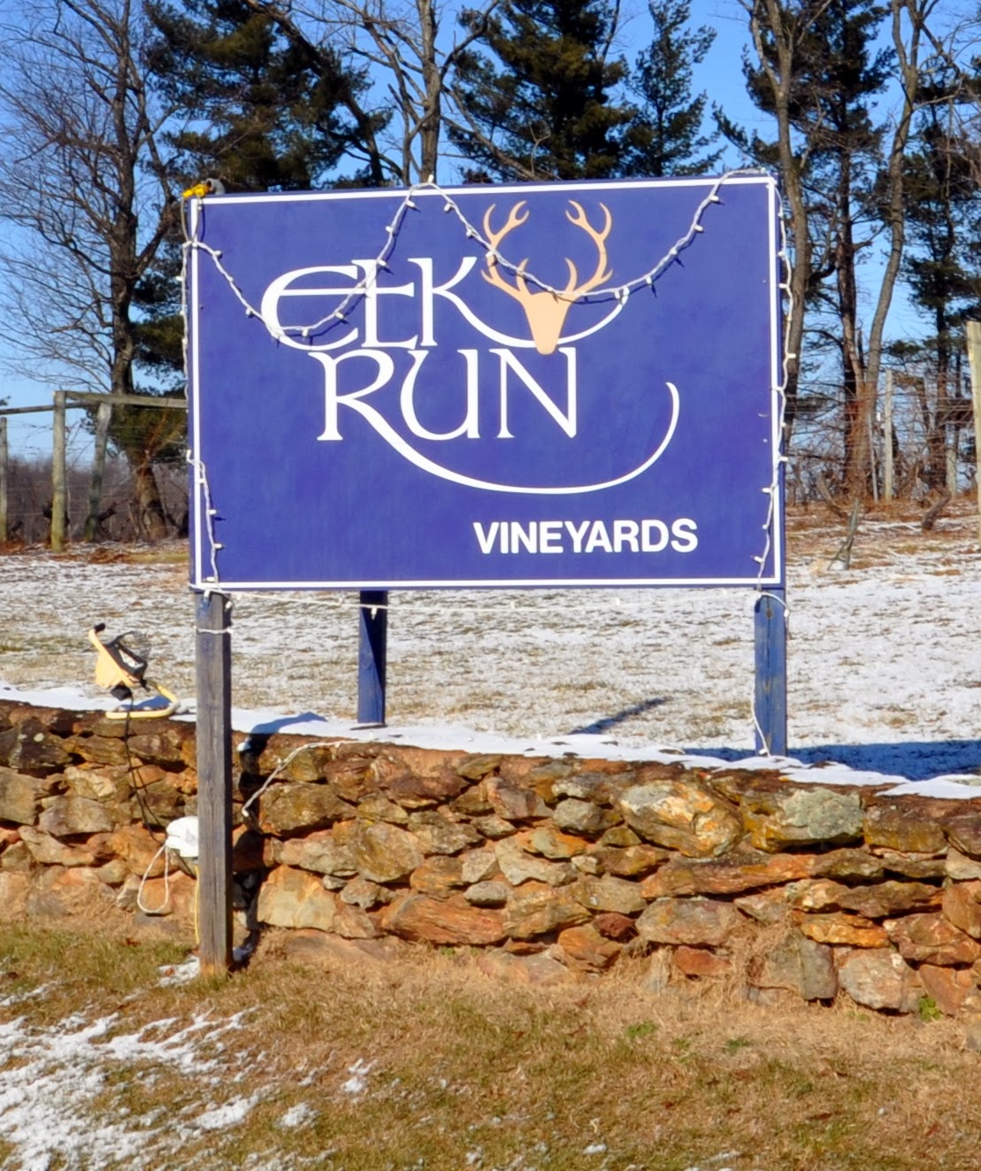 Elk Run and Red Heifer Wineries: Bicycles, Dogs and Wine, Oh My ...