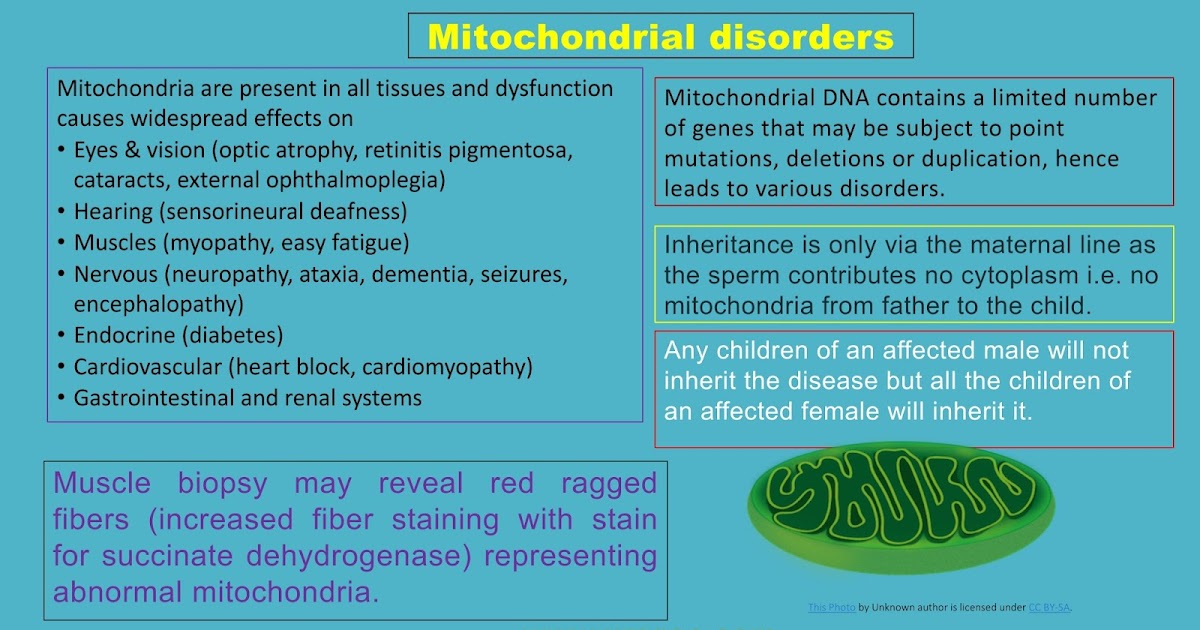 What are the Mitochondrial disorders?