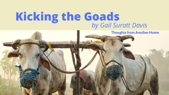Thoughts from Another Home ©: Kicking the Goads
