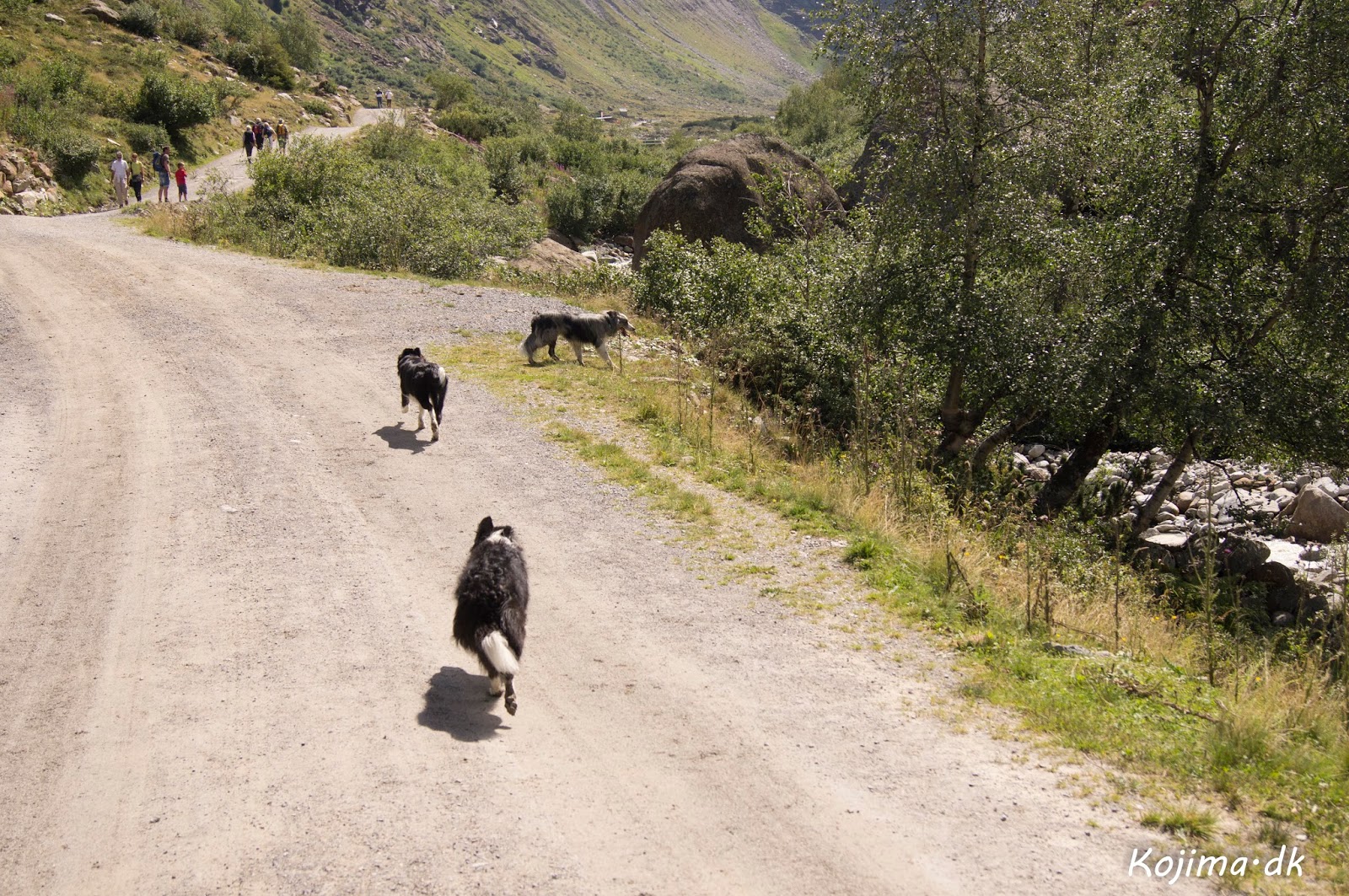 Anette Tofte´s blog