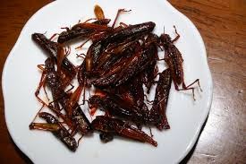 TenguLife: The curious guide to Japan: Unagi, Anago, Inago - the little ...