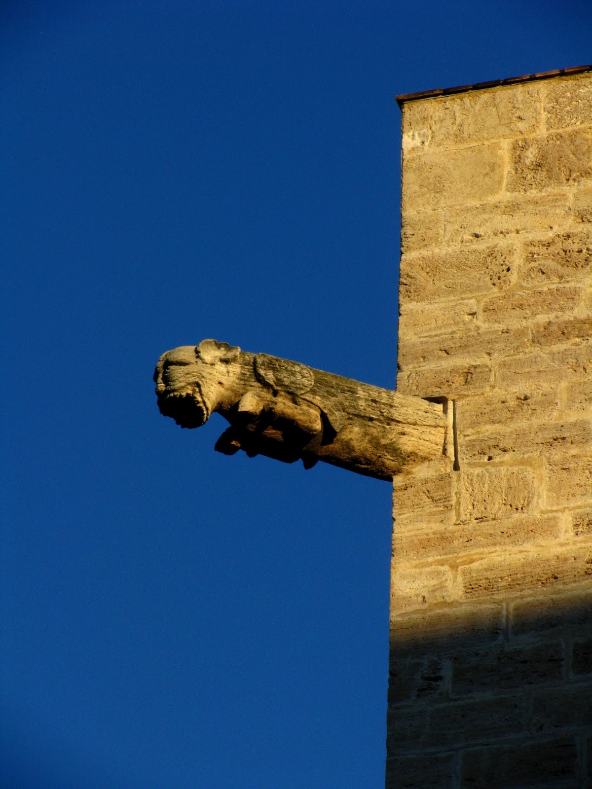 2_4.ROMÁNICO Y GÓTICO: GÁRGOLAS DE LA CATEDRAL