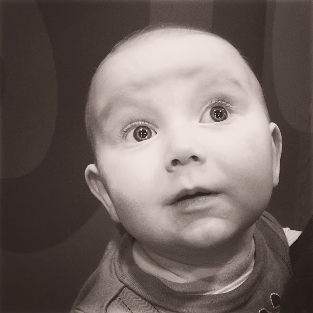 Duggar Family Blog: Duggar Updates | Duggar Pictures | Jim Bob and ...