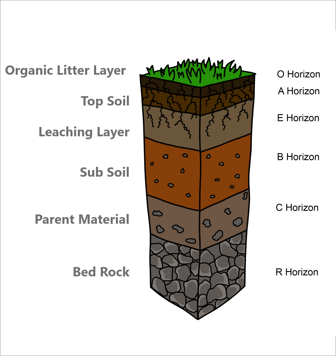 Soil and types of soil