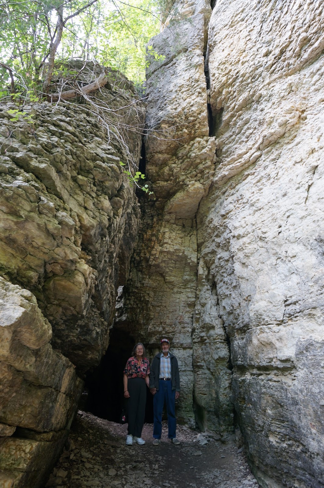 Spicebush Log: A Circuit through Iowa