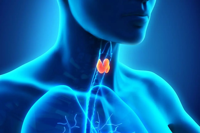 Hyperthyroïdie: causes, symptômes, traitement