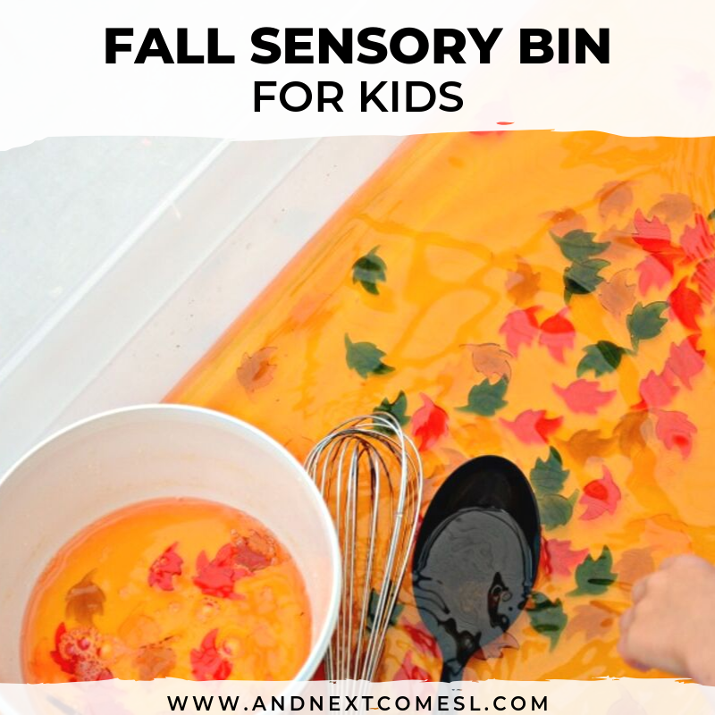 Fall Leaves Sensory Bin With Water And Next Comes L Hyperlexia fall-leaves-sensory-bin-with-water-and-next-comes-l-hyperlexia