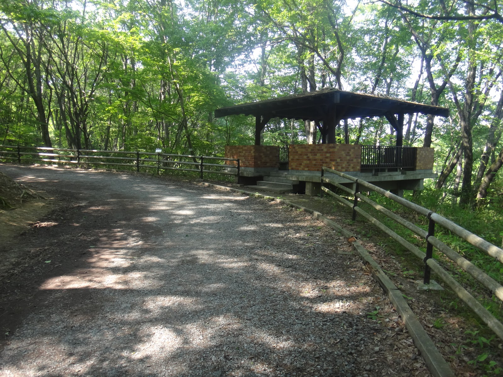 JAPAN through my eyes: Still walking in Shinrin Koen