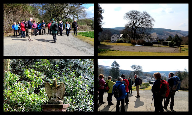 The Glebe Blog: Wigtownshire Ramblers Glenapp Circular April 2013