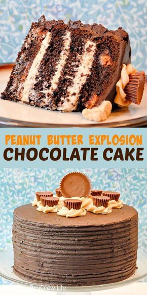 PEANUT BUTTER EXPLOSION CHOCOLATE CAKE - Book Of Recipes