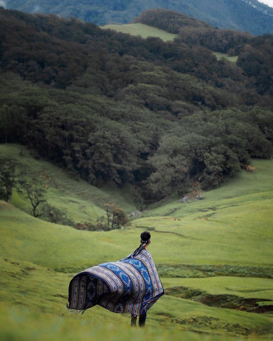 Pesona NTT: Indahnya Gunung Mutis