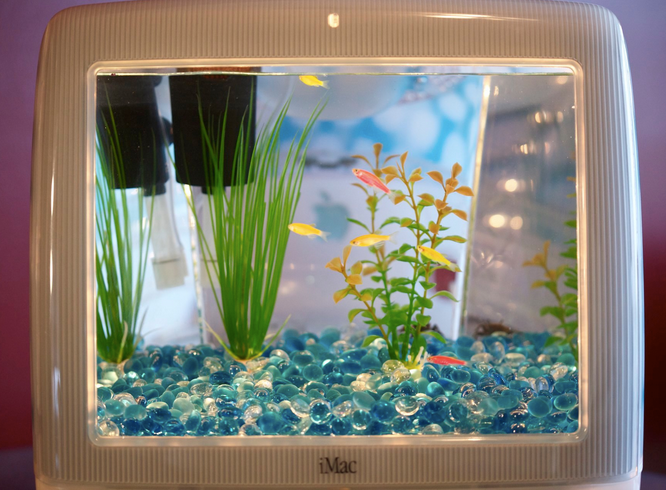 Upcycle Us: Upcycled fish tank