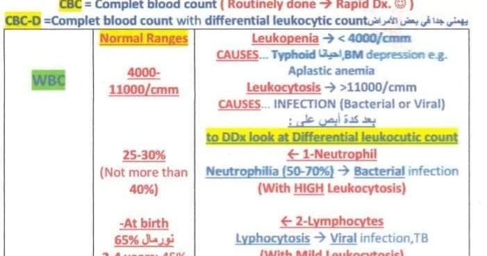 How to read a CBC Pdf