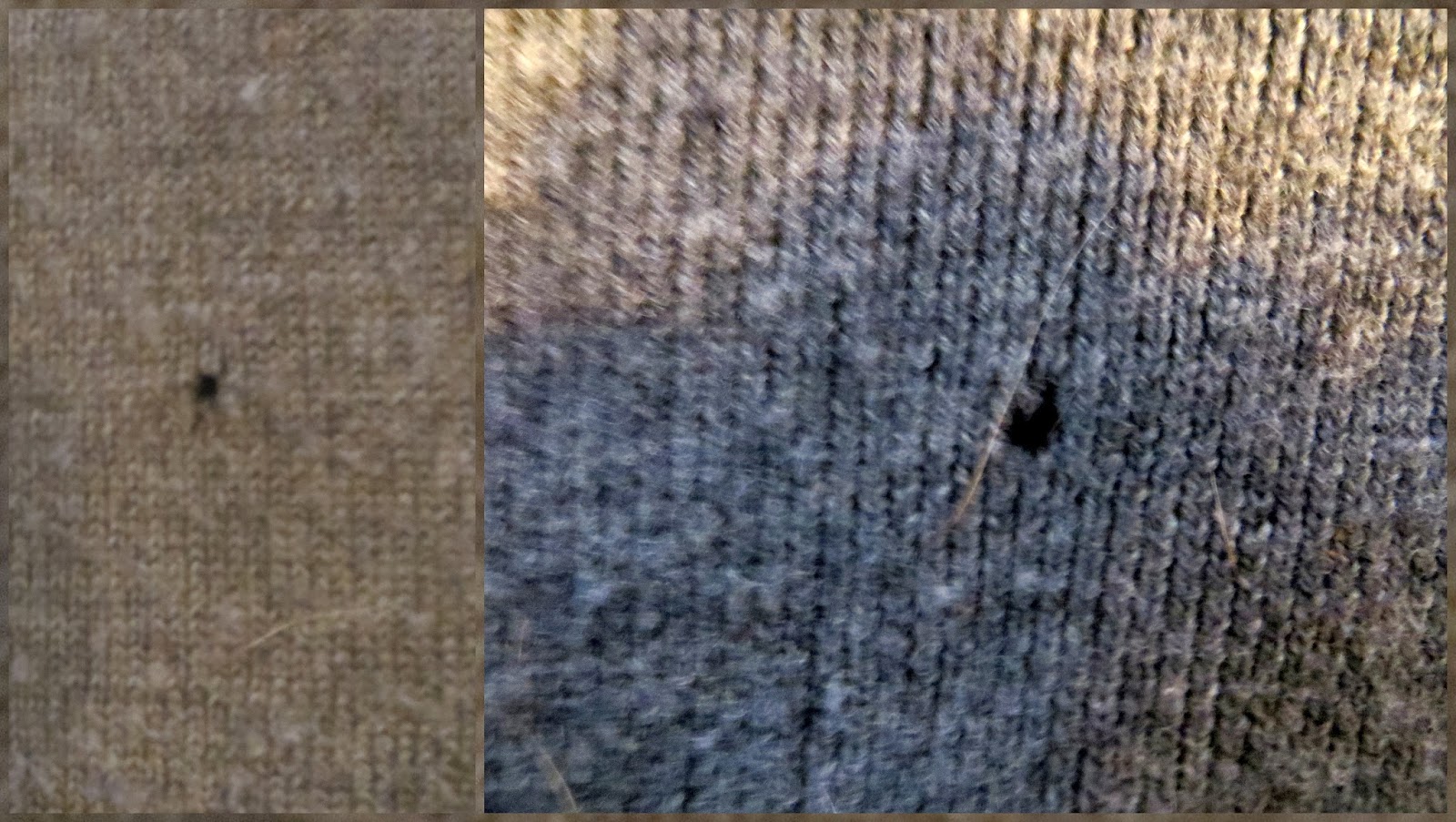 Threading the Dog: The Mystery of Patches and the Moth Hole