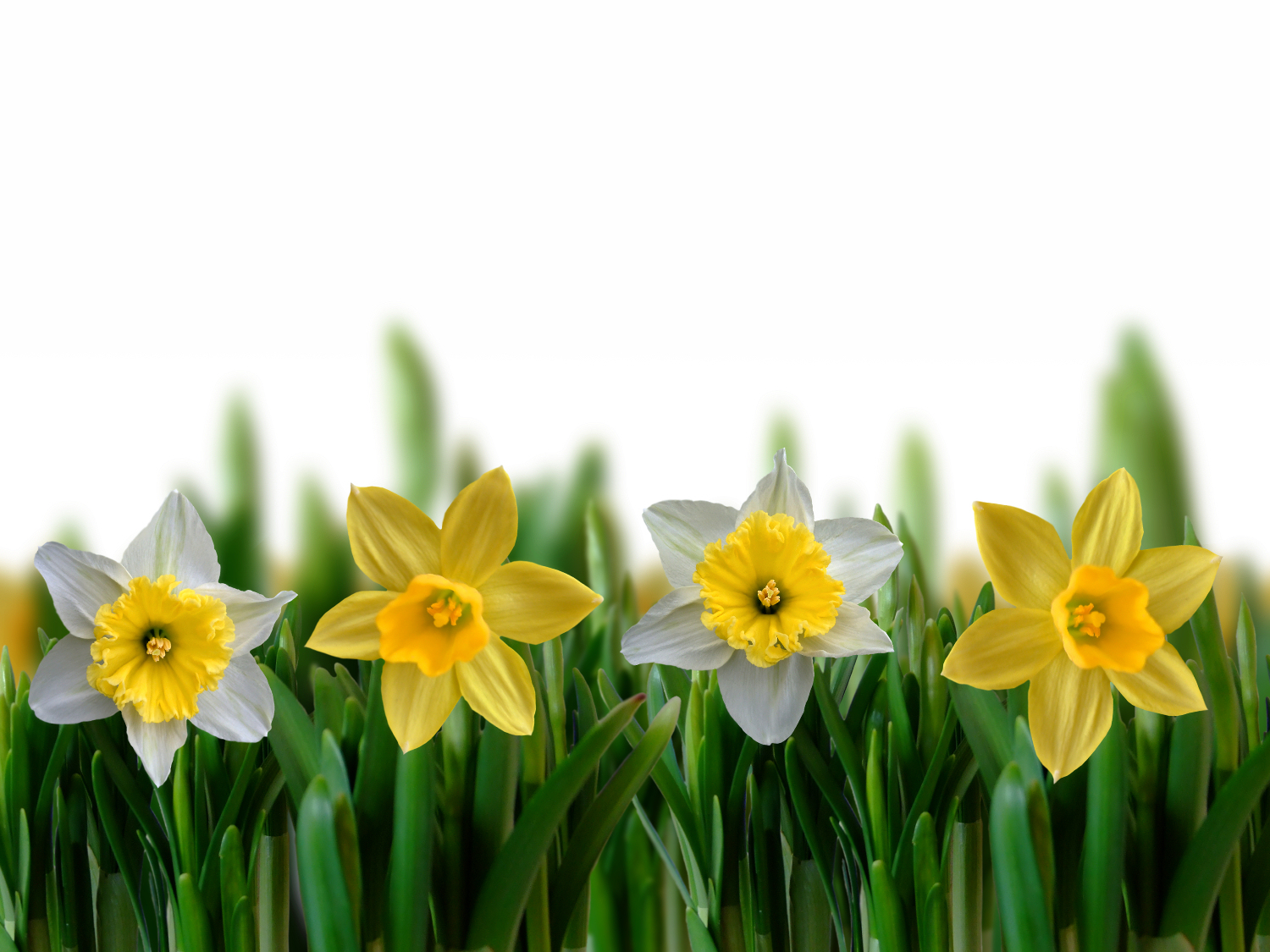 re:Worship: Easter Benediction