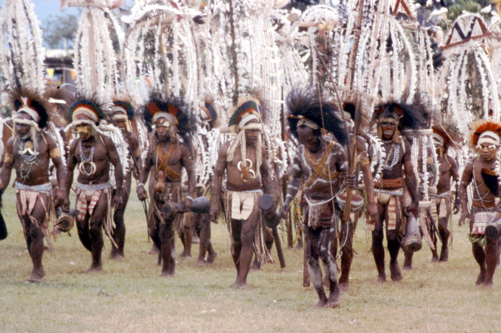 'Tradycyjne stroje' - Papua Nowa Gwinea