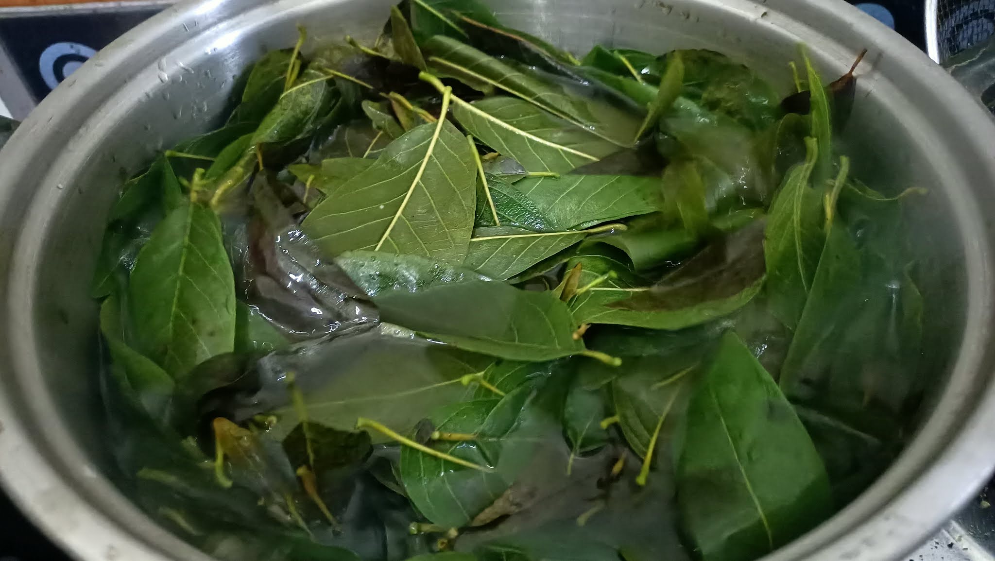 Mudah Membuat Pestisida Nabati dari Daun Srikaya