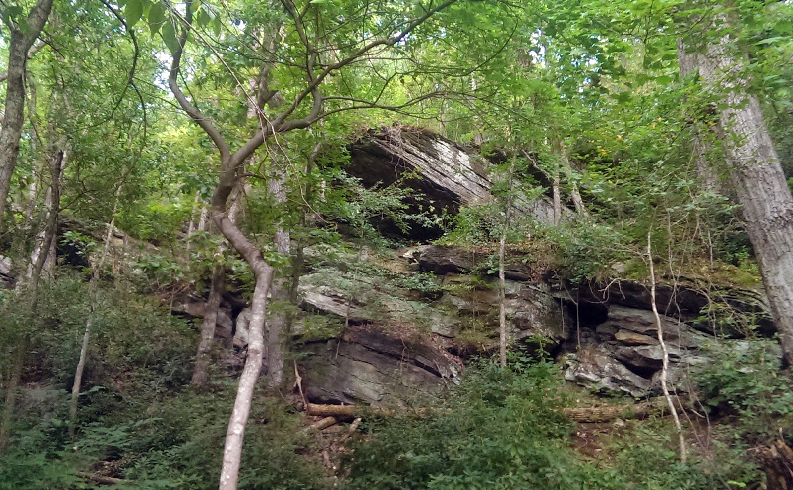 view from the thirteenth floor: more of the palisades