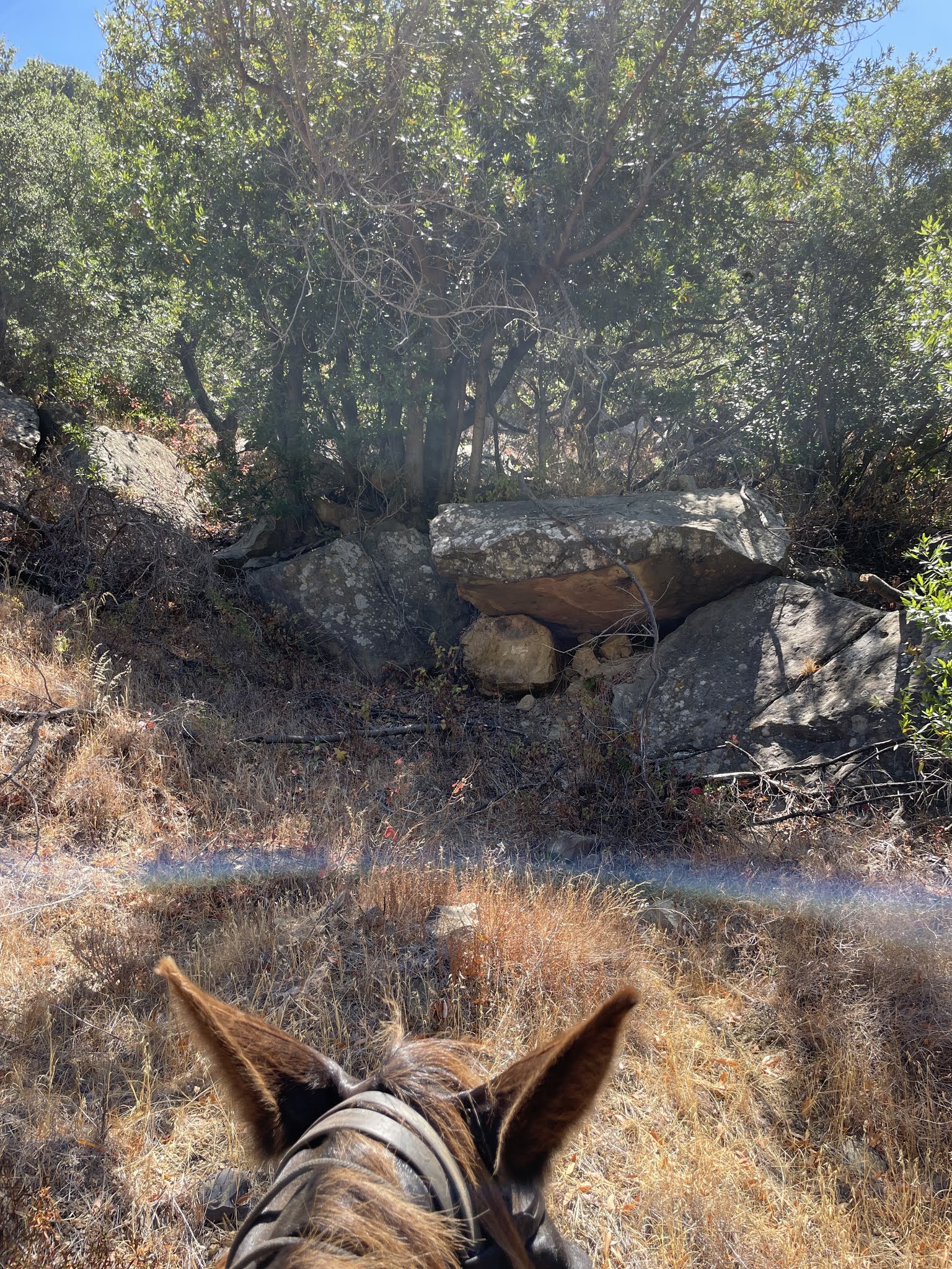 Baron Ranch on the Gaviota Coast - edhat