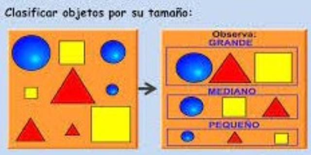 CLASIFICACIÓN DE OBJETOS ATENDIENDO A DOS ATRIBUTOS: FORMA Y TAMAÑO ...