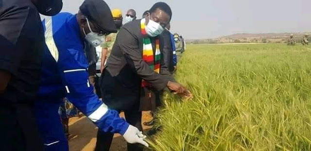 PICS : ED FLIES TO BUSINESSMAN'S FARM | Mafaro