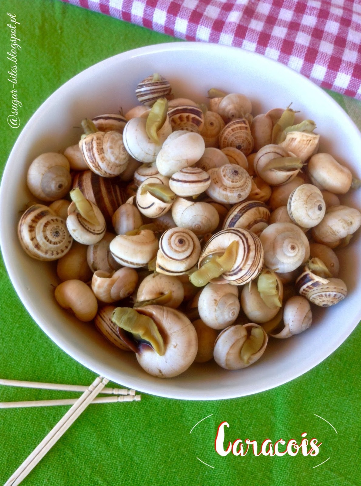 Sugar Bites: Caracois