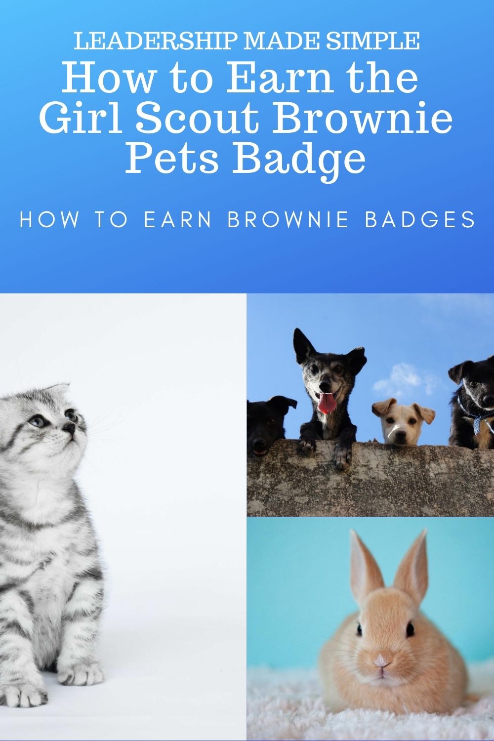 How to Earn Brownie Badges: How to Earn the Girl Scout Brownie Pets ...