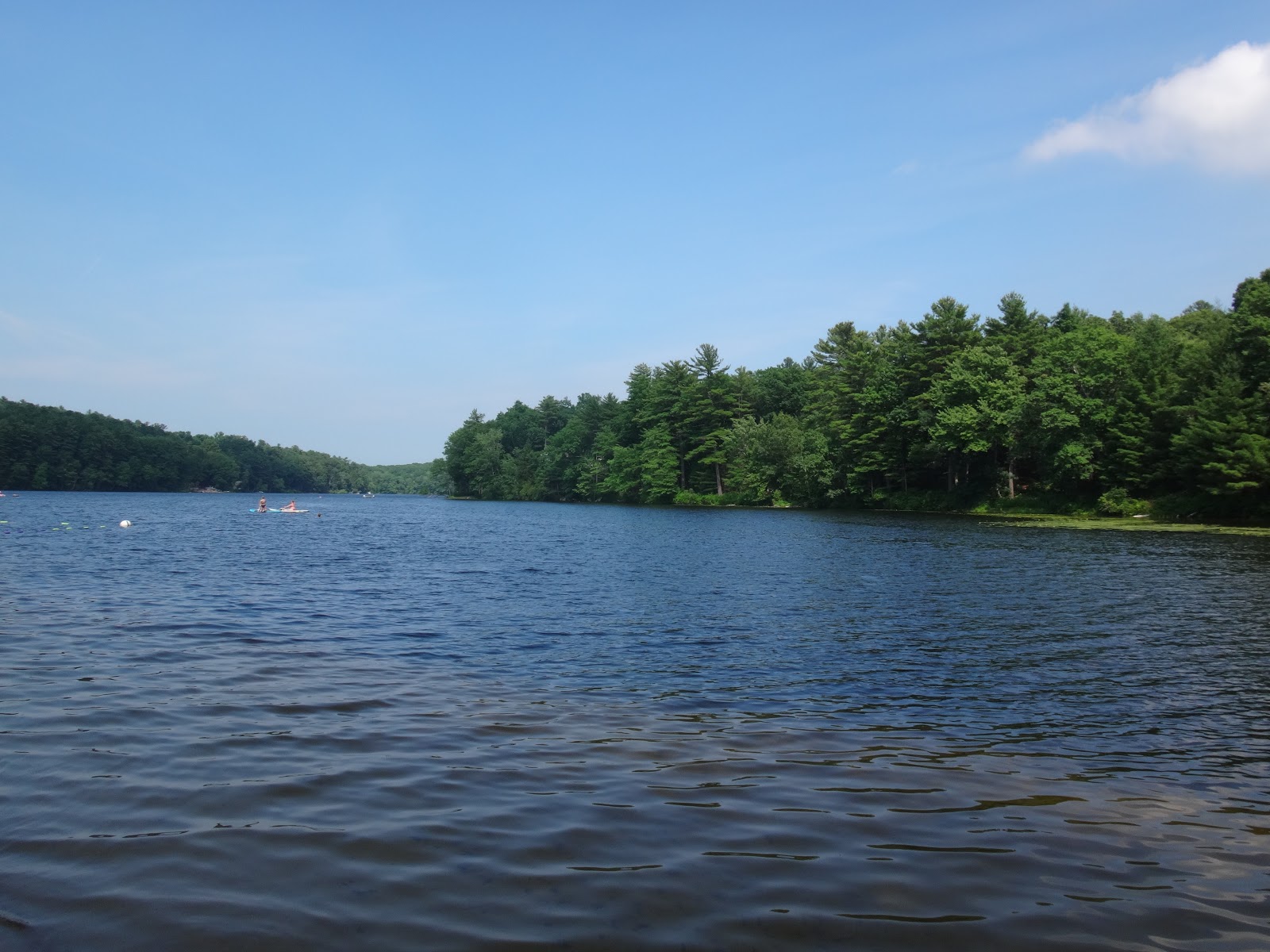 double d mountain runner: Stiles Pond