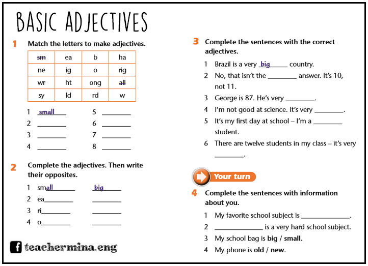 Teachermina: [activity] basic adjectives