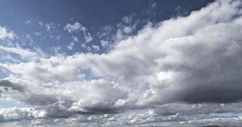 WWW: Der Van-Gogh-Himmel