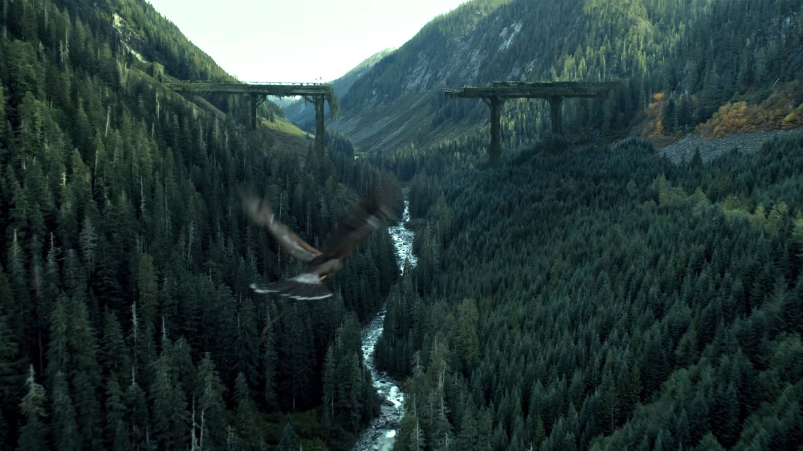 Jon Crunch: TV Review: “See” Season 1 (Apple TV+ Series)