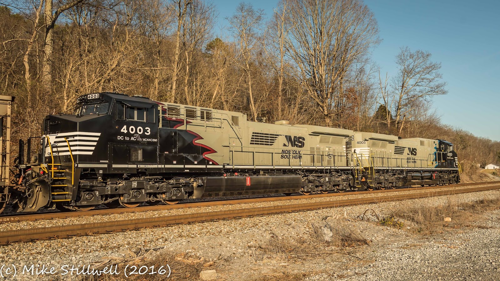 Walking On Empty: Red Mane Blue Mane